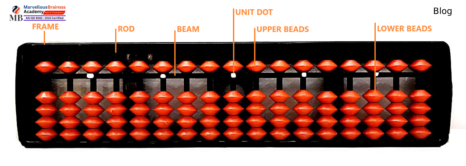What is an Abacus Class? Complete Guide for Kids!